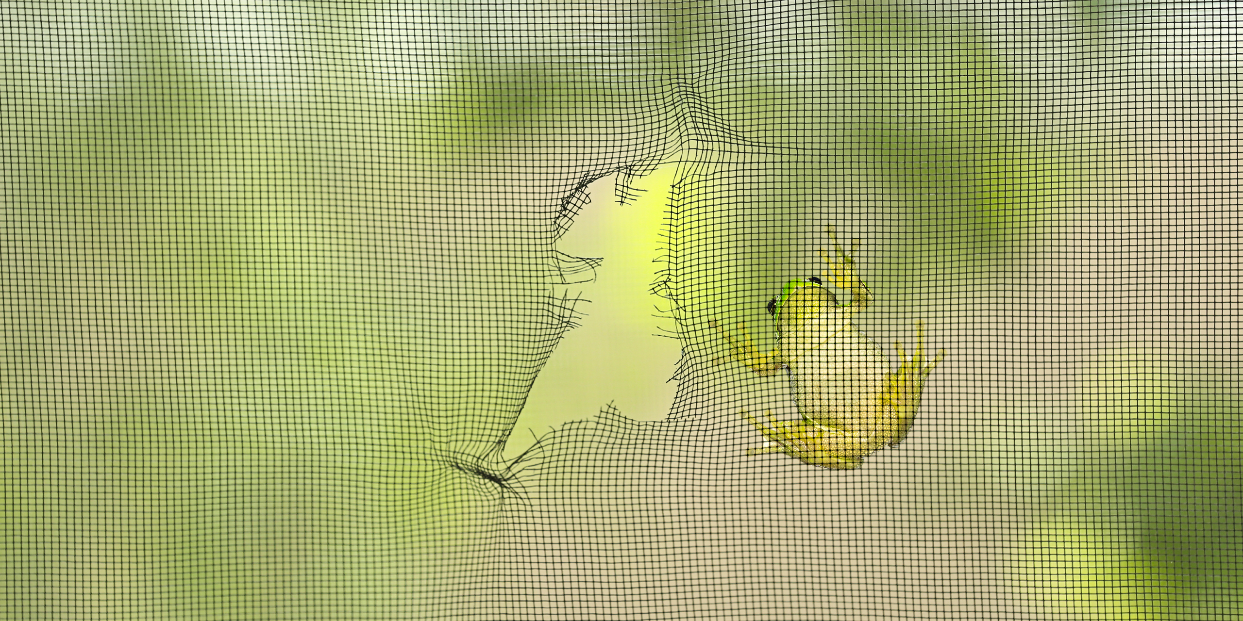 Reasons to Rescreen Your Home